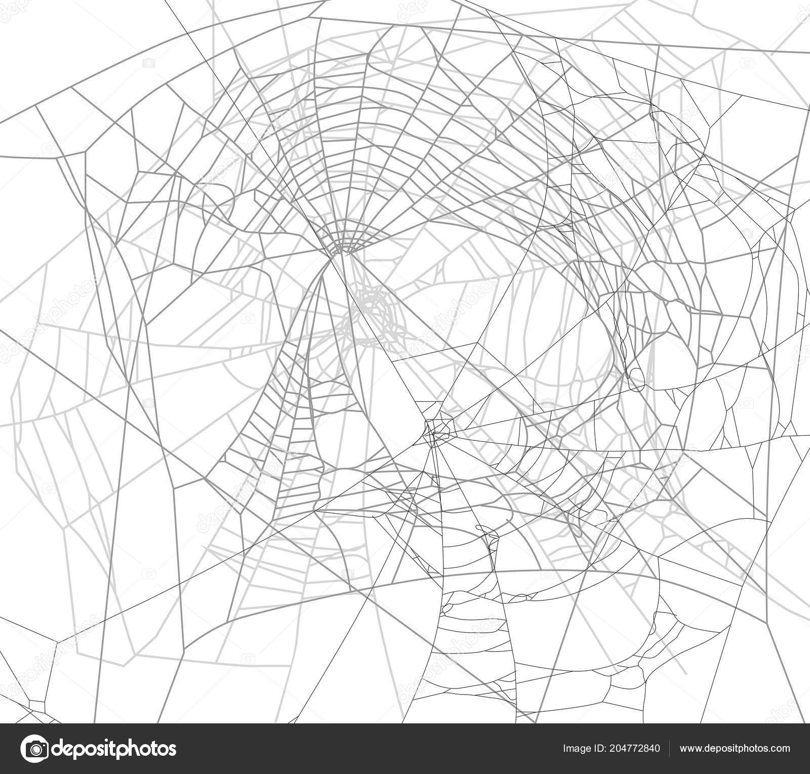 Illustration Spider Web Isolated White Background Stock Vector Image by ...