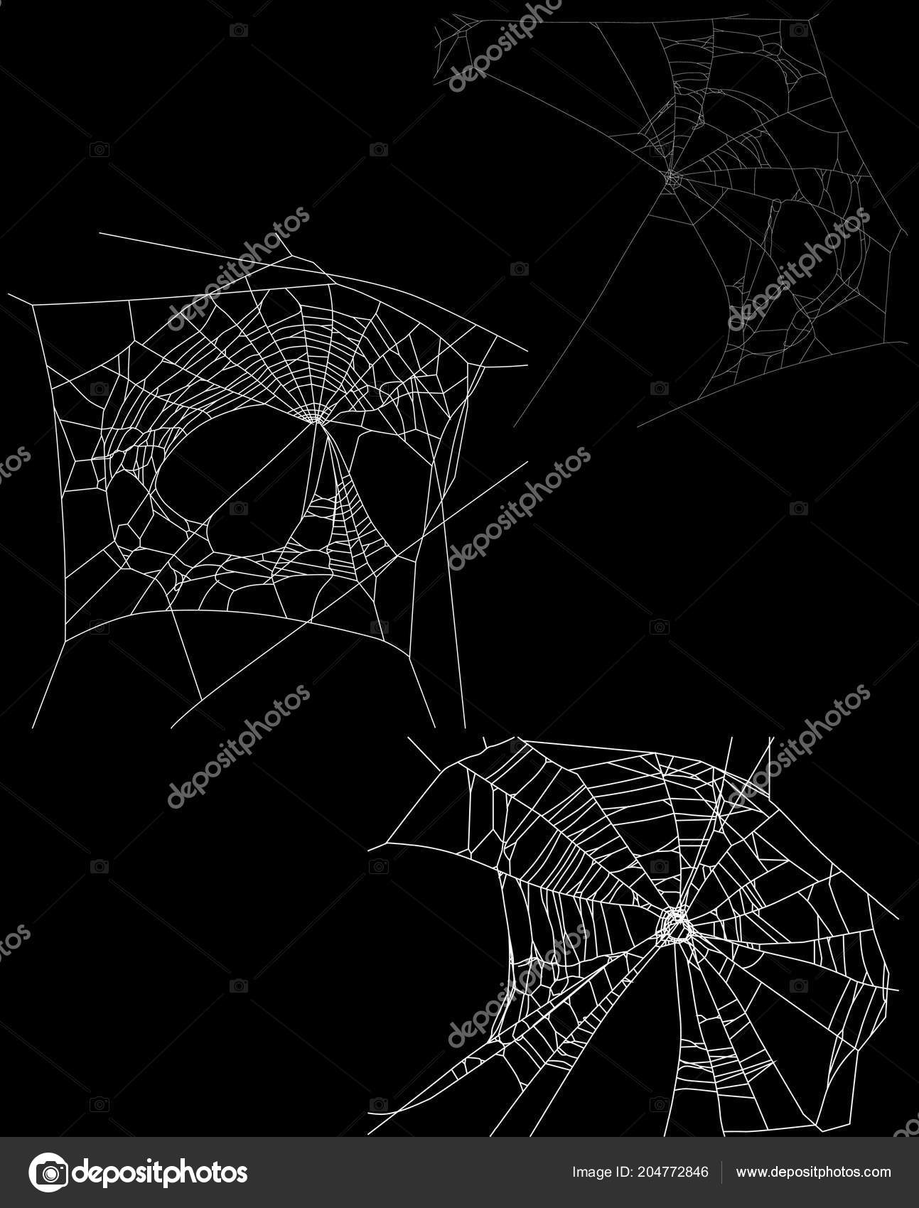 Illustration Three Spider Webs Isolated Black Background Stock Vector ...