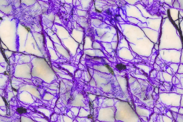 lilac and white stone seamless background closeup - Stock Image ...