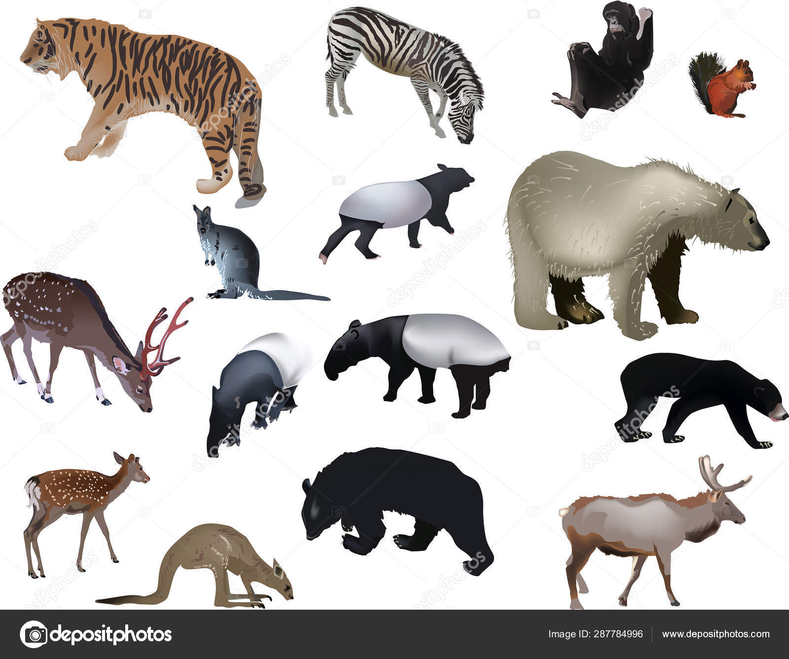 Fifteen color animals on white background Stock Vector Image by ©Dr.PAS ...