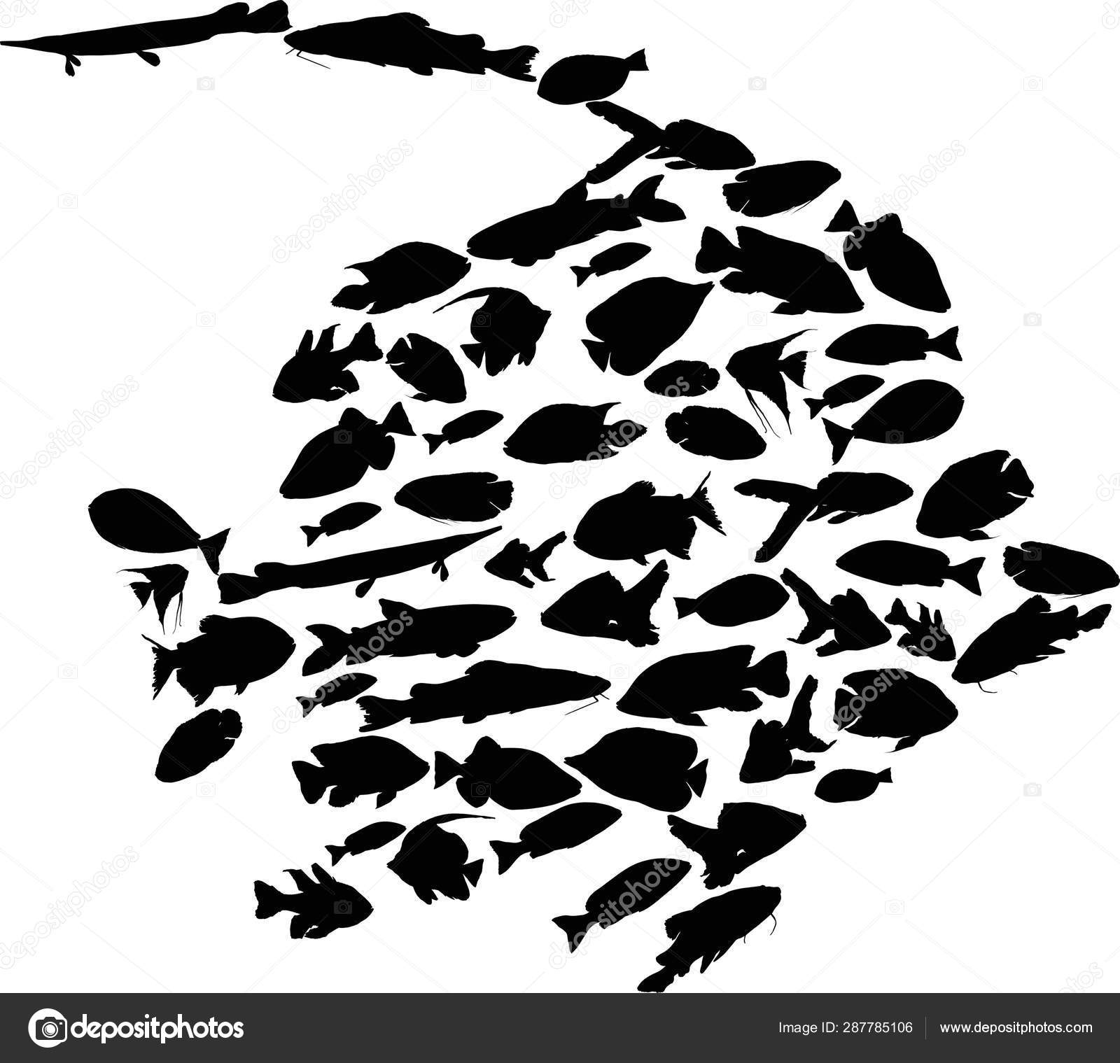 Tropical Fish Silhouette