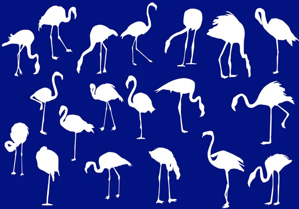 Pink flamingos silhouettes — Stock Vector © Dr.PAS #84193258