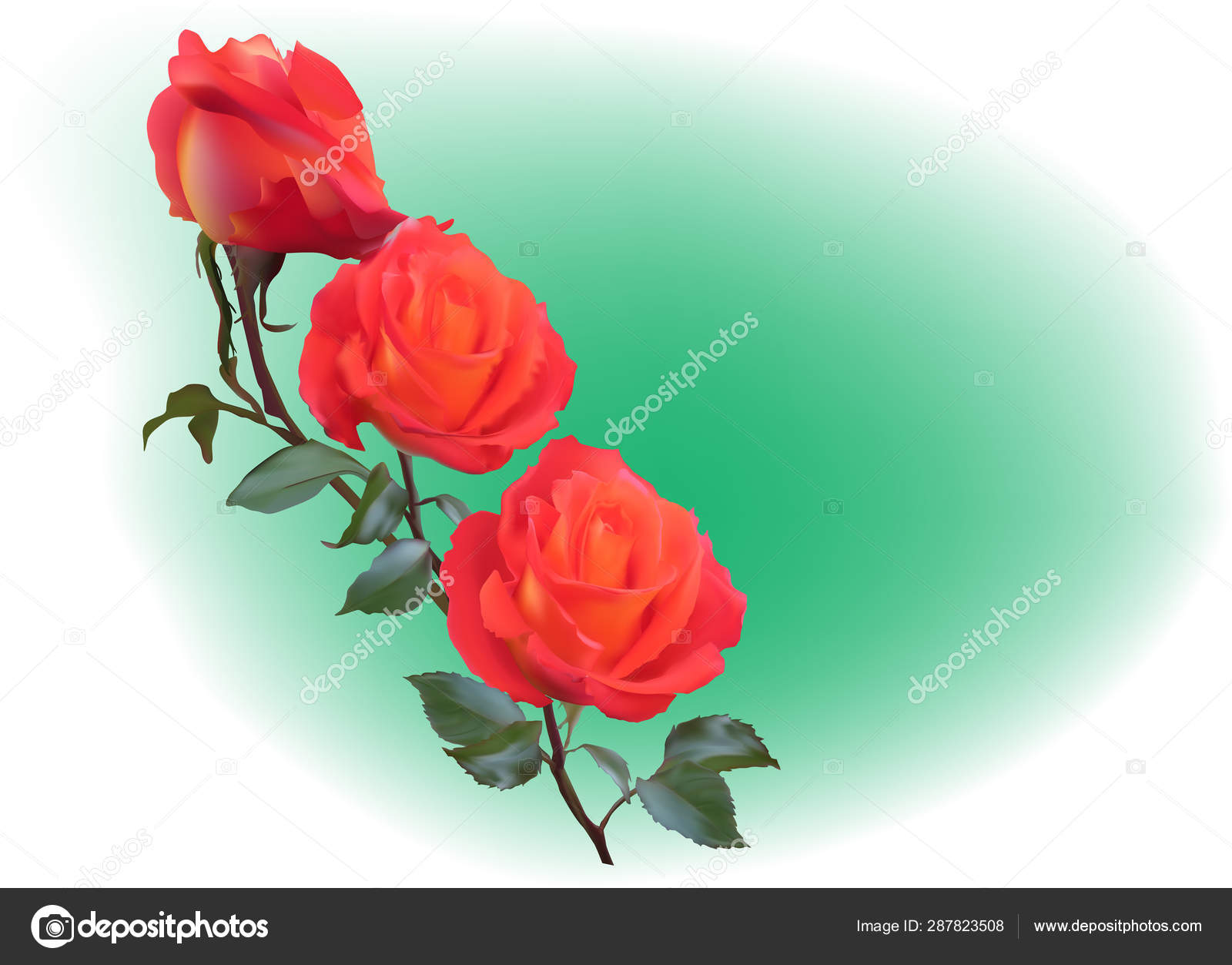 Three bright red rose blooms on green Stock Vector Image by ©Dr.PAS ...