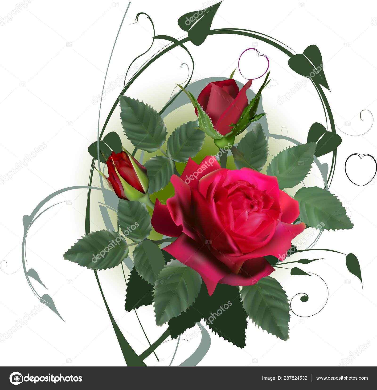 Green curl with dark roses bloom and buds Stock Vector by ©Dr.PAS 287824532