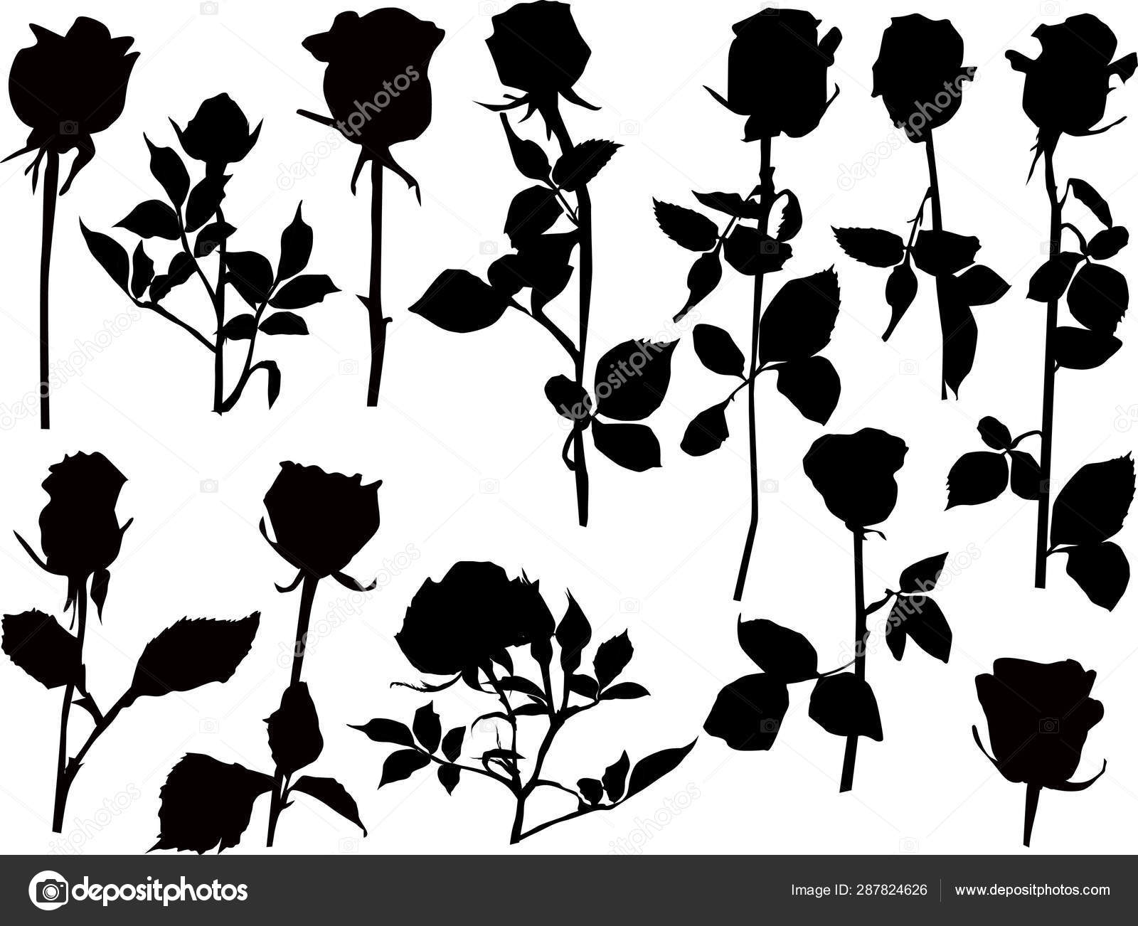 Drawings Of Black Roses
