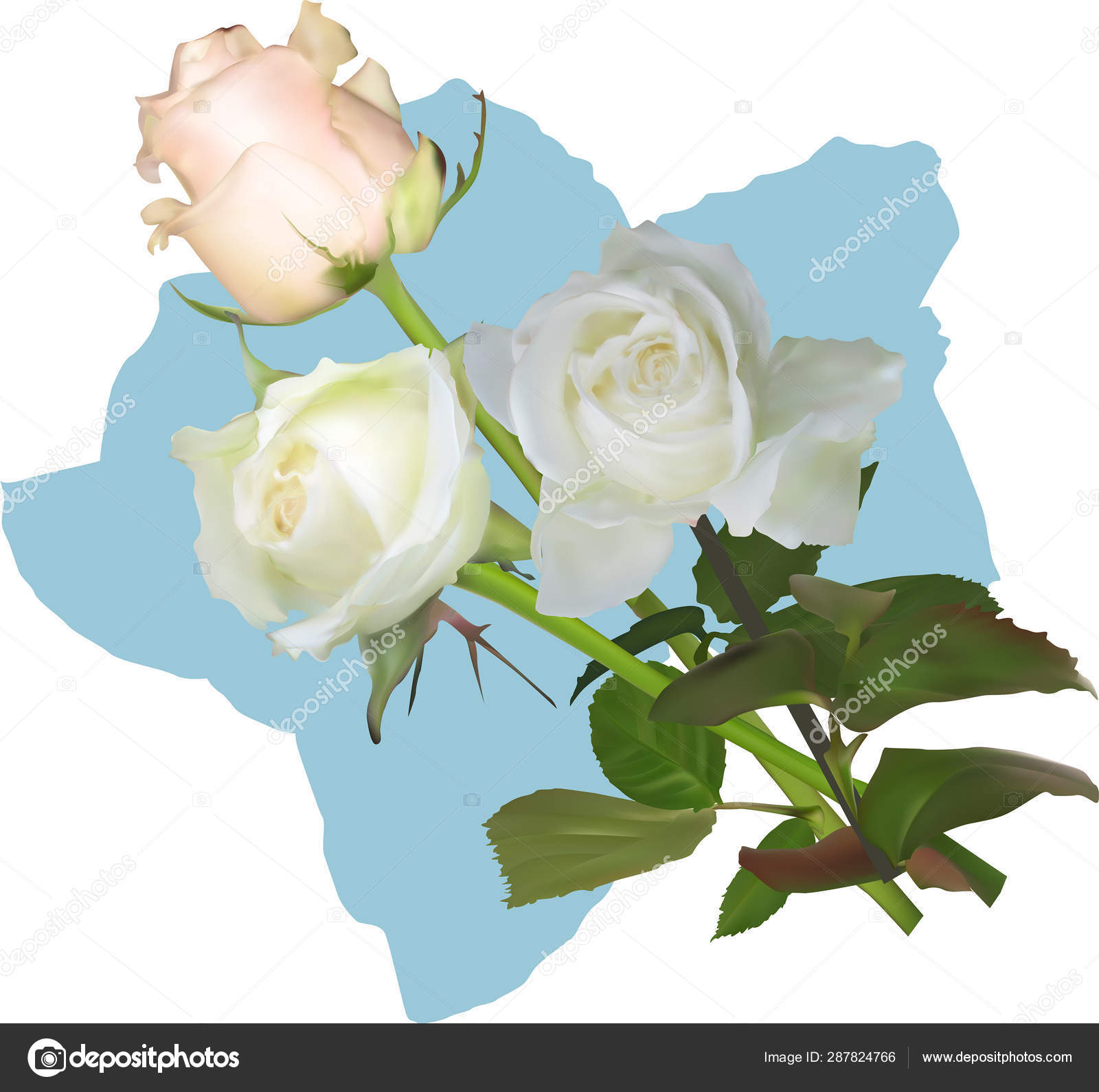 Three white rose flowers on blue background Stock Vector Image by ©Dr ...