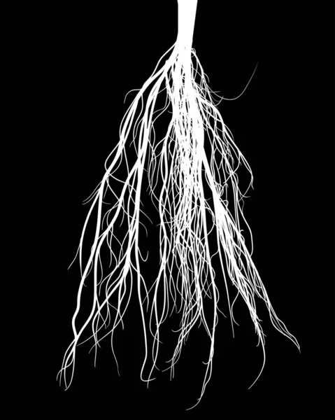 Blue lightning on white Stock Vector Image by ©Dr.PAS #6328350