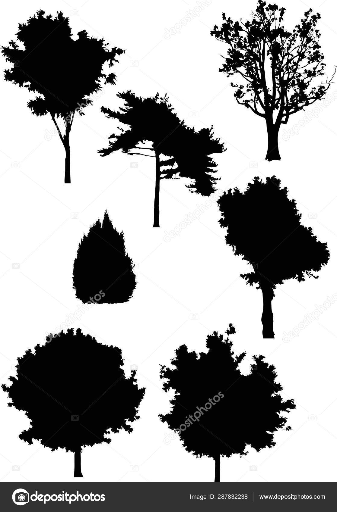 Seven isolated different trees black silhouettes Stock Vector Image by ...