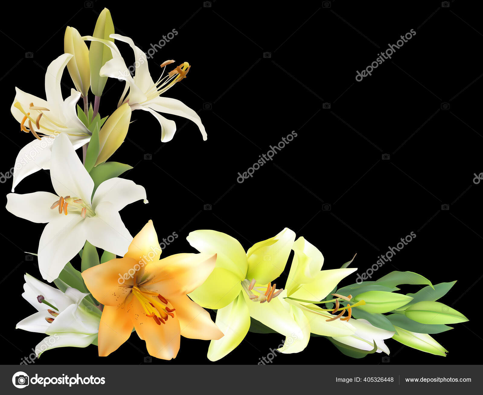 Illustration Lily Flowers Corner Isolated Black Background Stock Vector ...