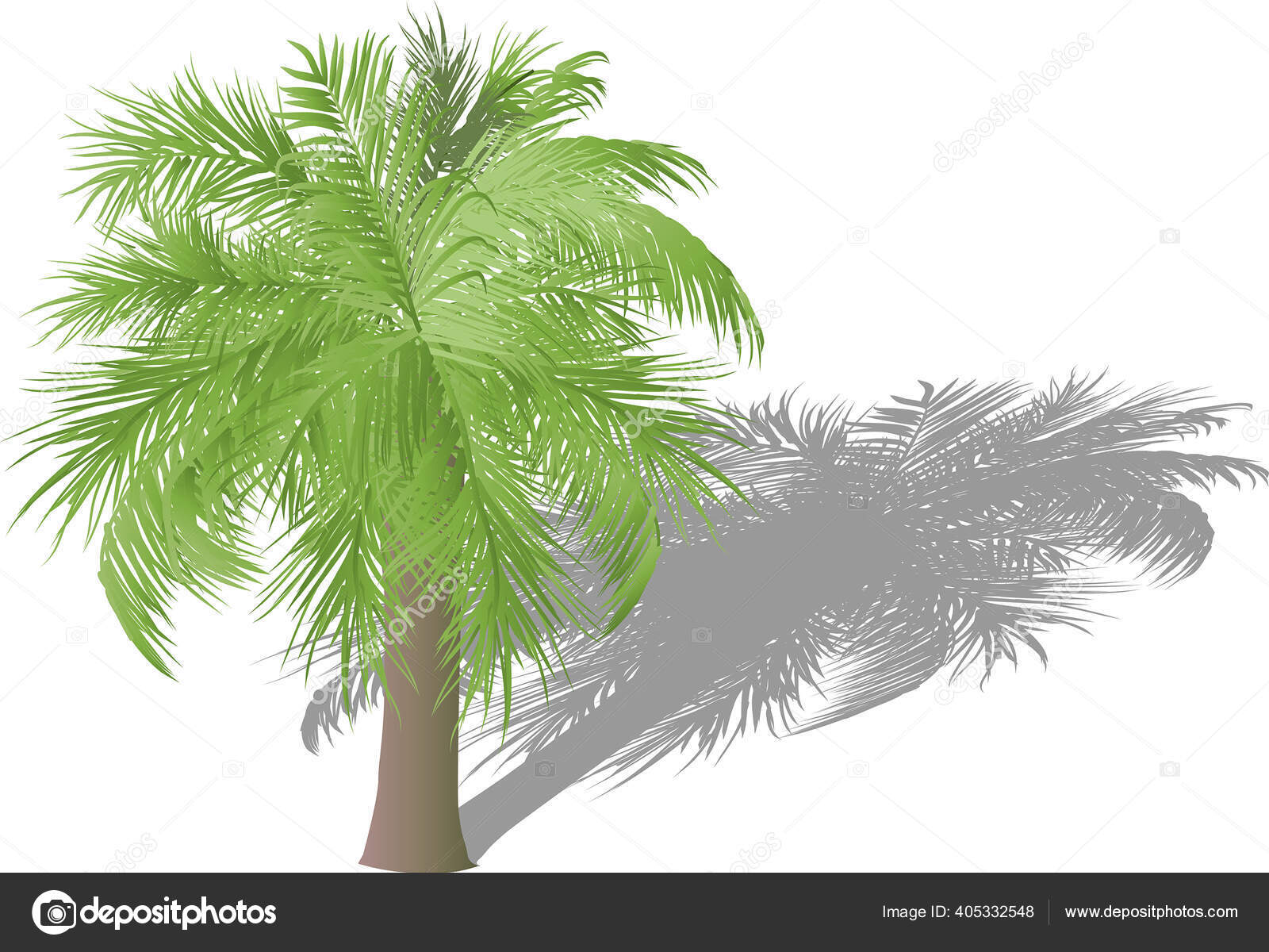 Illustration Single Palm Tree Isolated White Background Stock Vector by ...