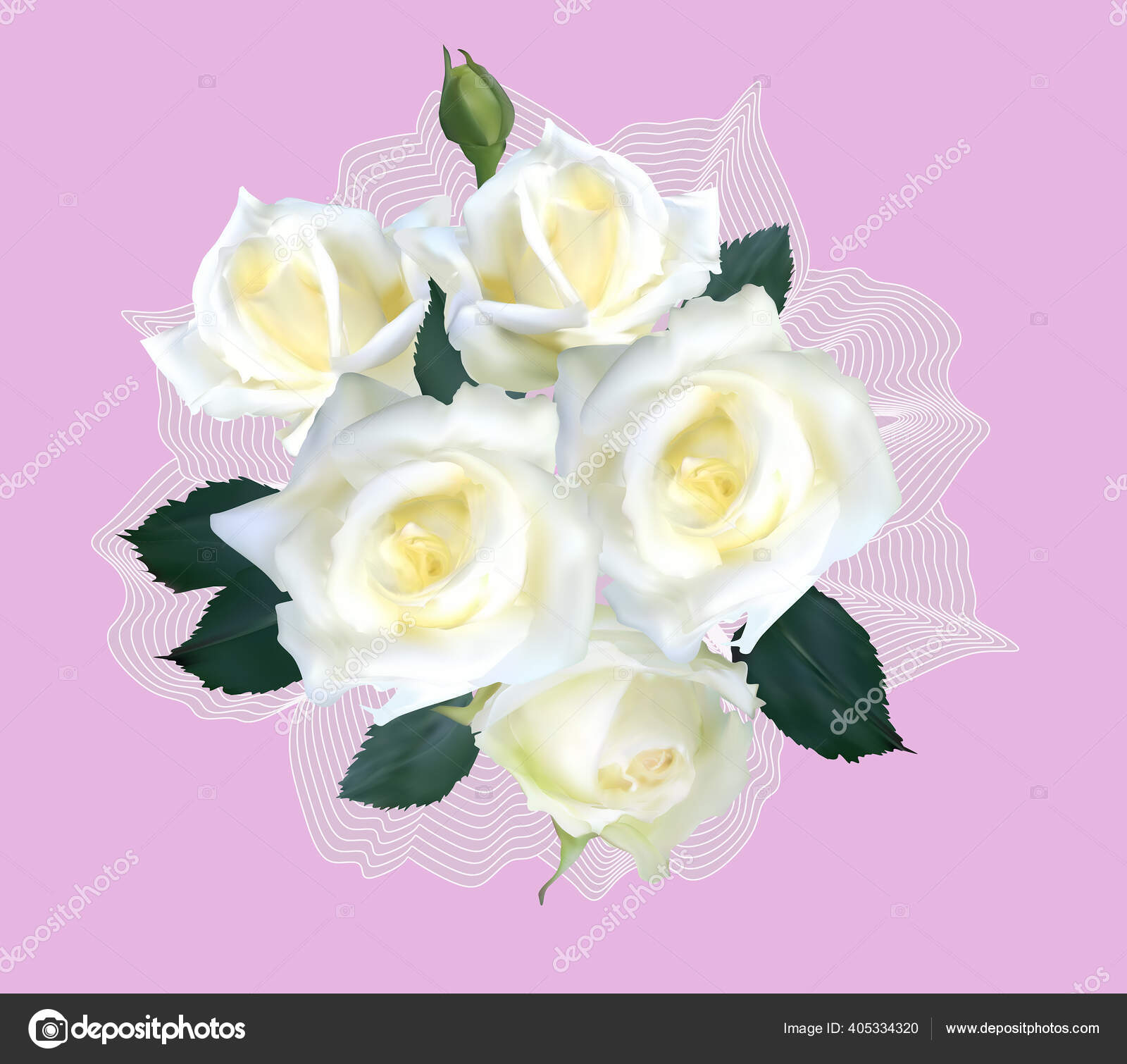 Illustration Five White Roses Buds Isolated Pink Background Stock ...