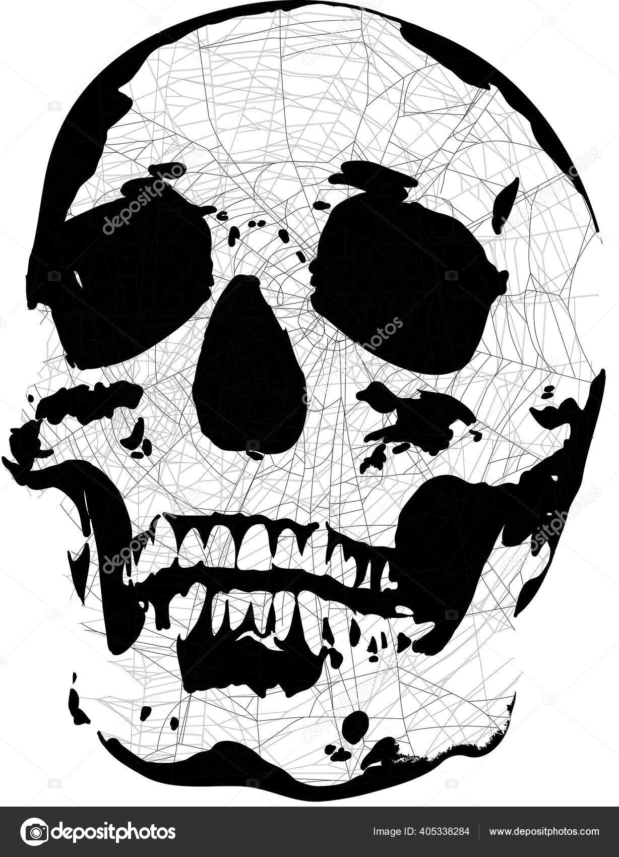 Single Skull Spider Web Isolated White Background Stock Vector Image by ...