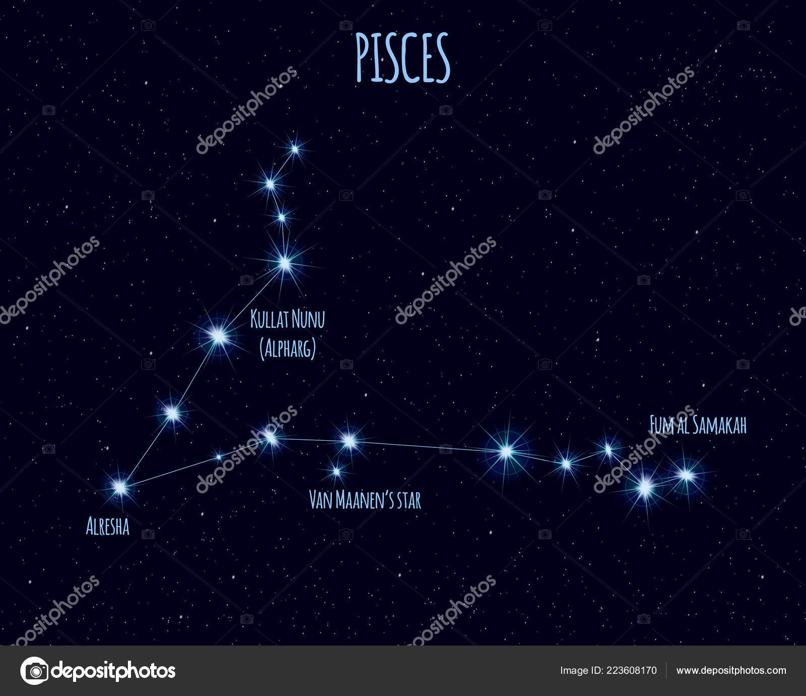 Pisces Constellation Fish