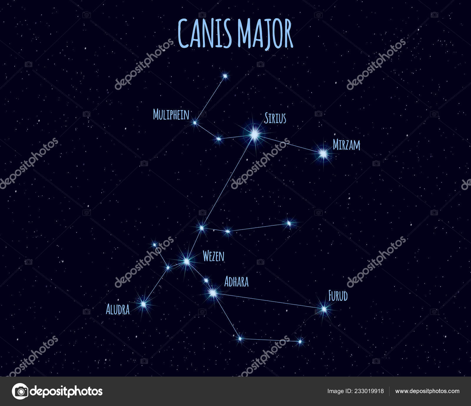 Canis Major Great Dog Constellation Vector Illustration Names Basic ...