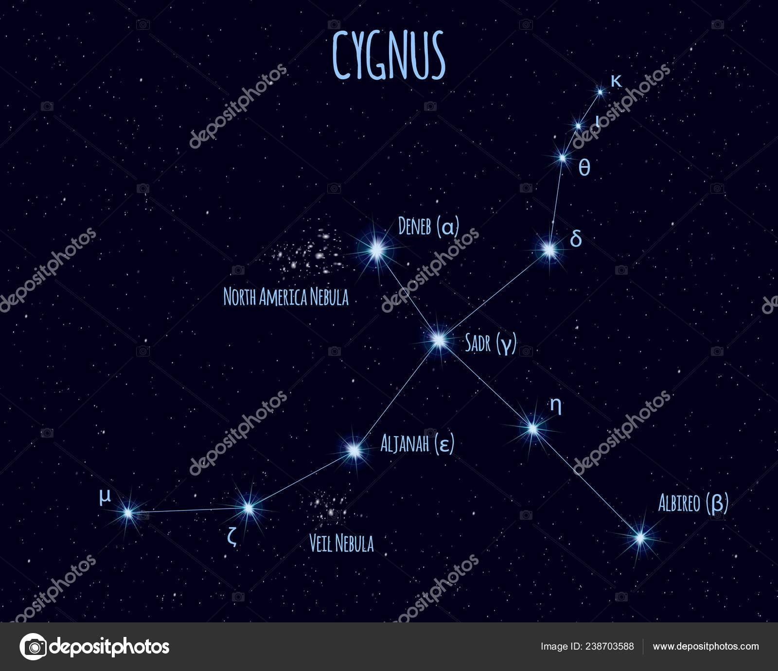 Cygnus Swan Constellation Vector Illustration Names Basic Stars Starry ...