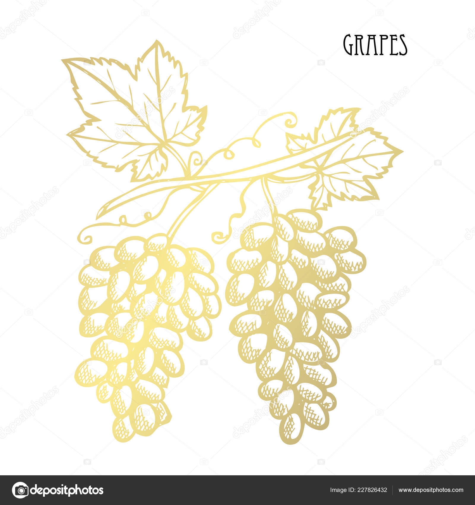 Golden Grapes