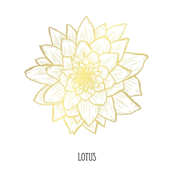 Simple Lotus Flower Designs