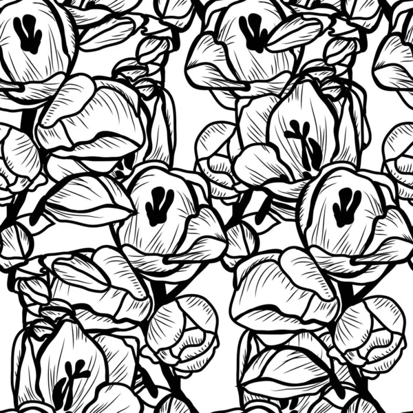 Tulipán rajz Stock vektorok, Tulipán rajz Jogdíjmentes illusztrációk ...