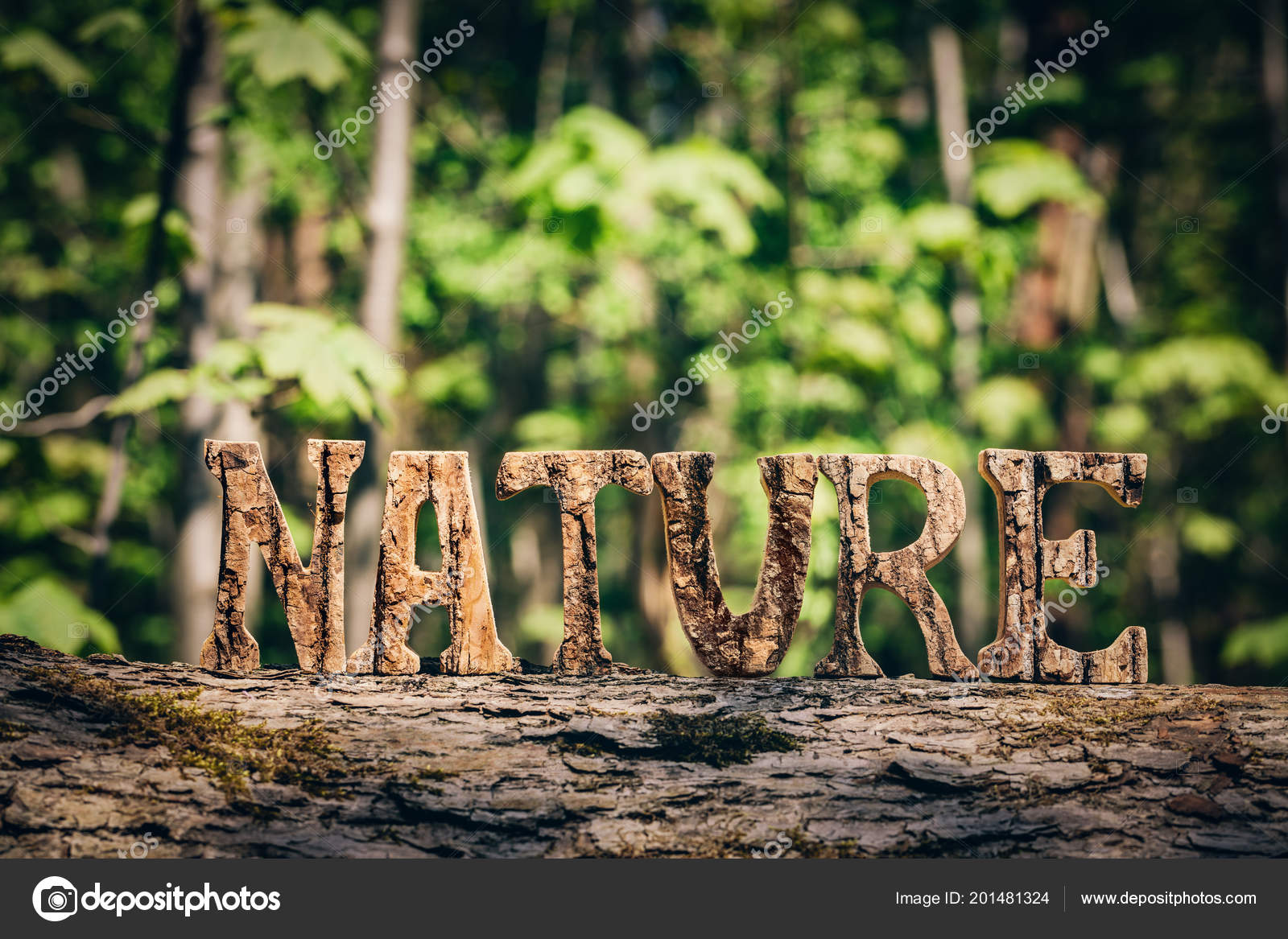 Nature Writing Made Wooden Letters Standing Forest — Stock Photo ...