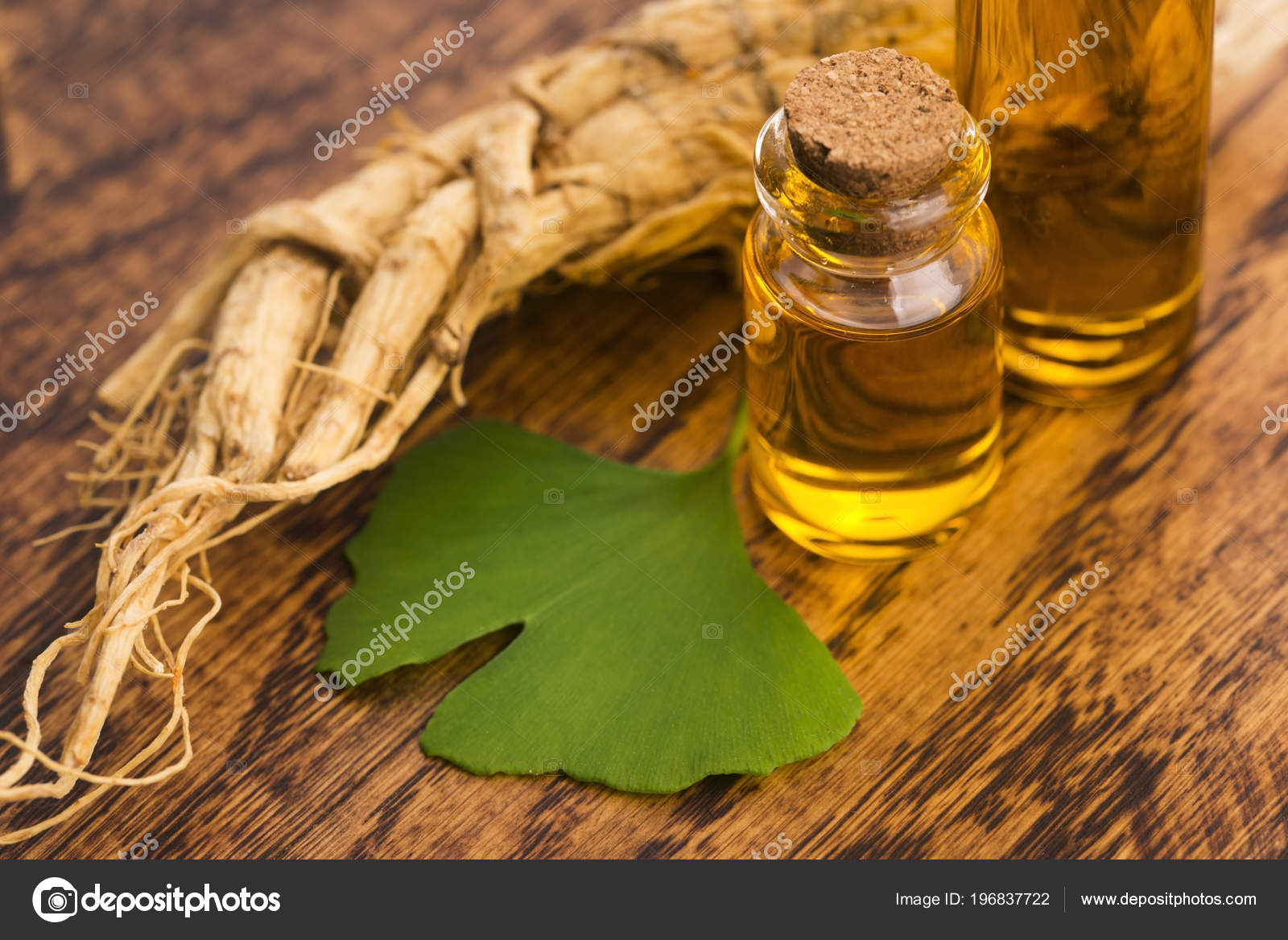 Extract Ginseng Root Ginkgo Biloba Leaves Stock Photo by ©joannawnuk ...