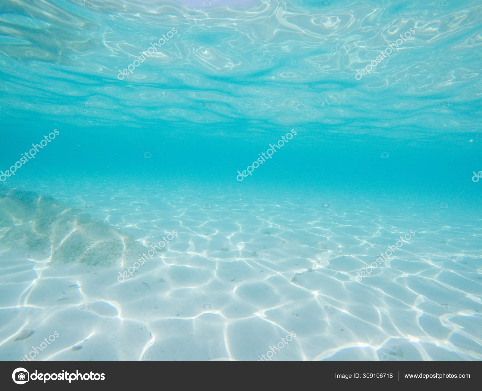 Tropical Underwater Scenery