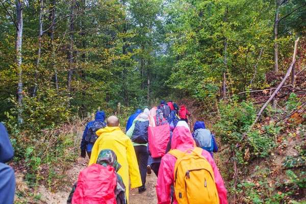 People walking in the forest, foggy autumn day. Hiking and exploring ...