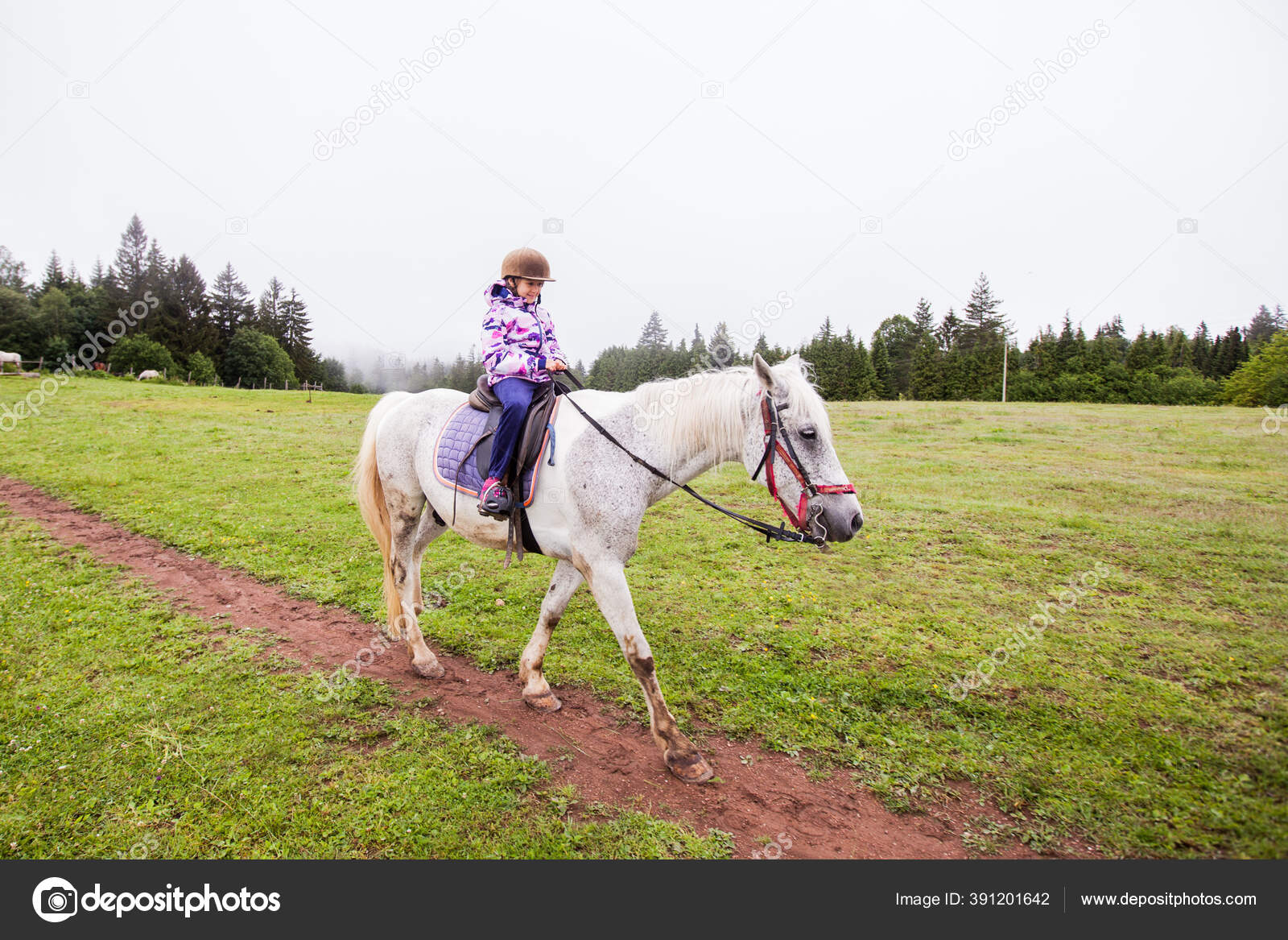 Horseback Riding Lesson Little Girl Ride Horse Ranch Country Landscape ...