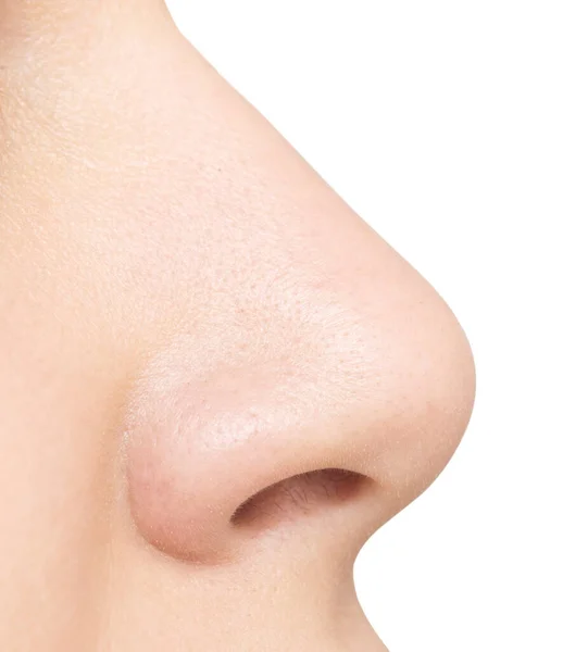 Anatomy of the nose Stock Photos, Royalty Free Anatomy of the nose ...
