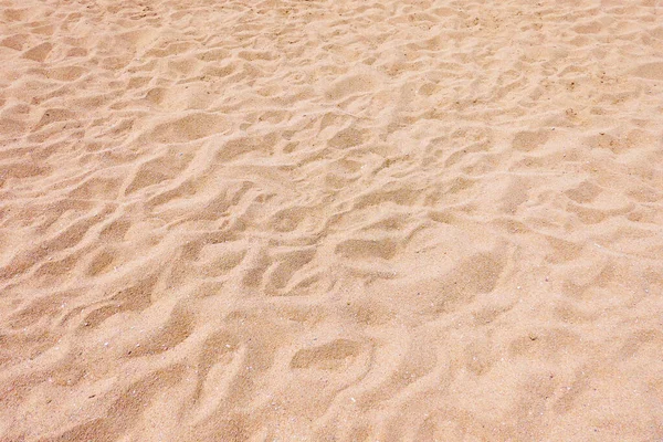 Arena marina orilla del mar fotos de stock, imágenes de Arena marina ...