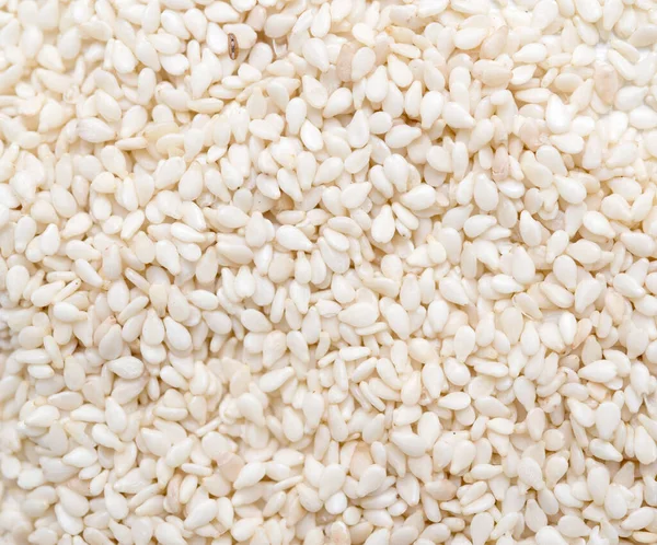 Sesame macro Stock Photos, Royalty Free Sesame macro Images | Depositphotos