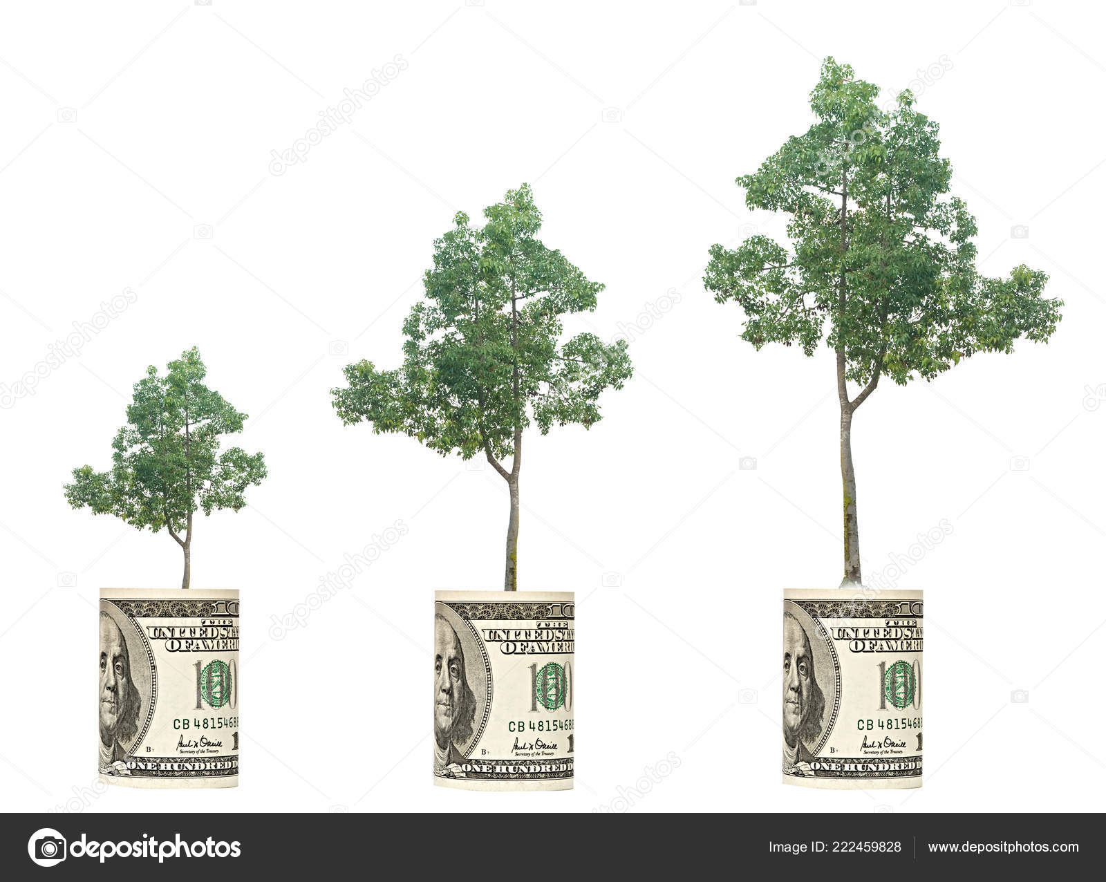 Three Trees Growing Dollar Bill — Stock Photo © vaeenma #222459828