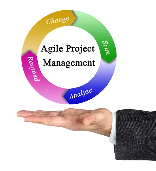 Agile management Stock Photos, Royalty Free Agile management Images ...