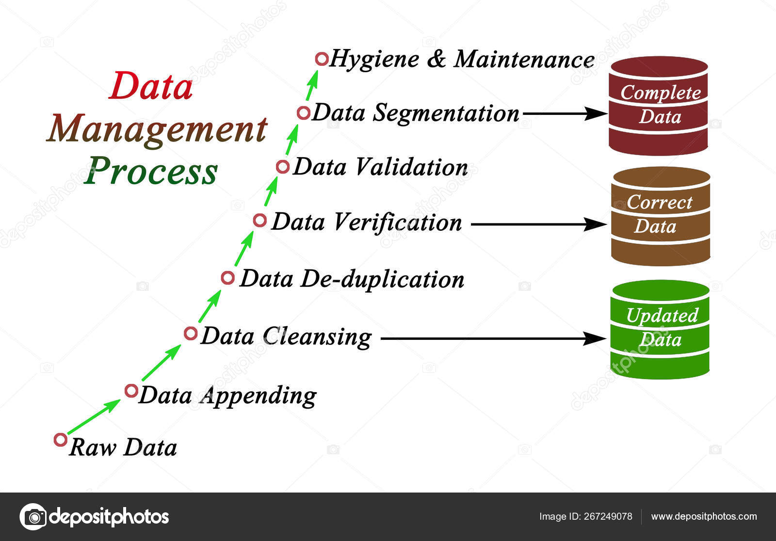 Components of Data Management Process — Stock Photo © vaeenma #267249078