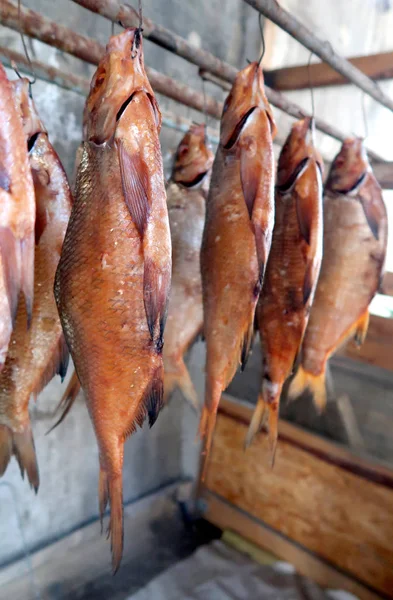 Fish processing plant Stock Photos, Royalty Free Fish processing plant ...