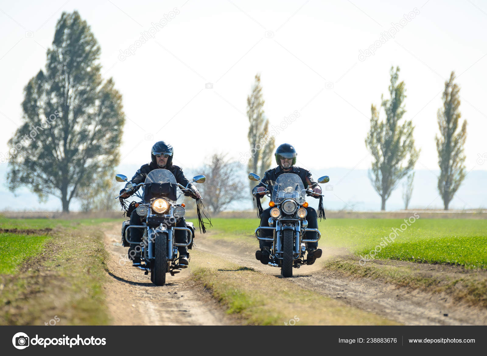 Concept Chopper Bikes