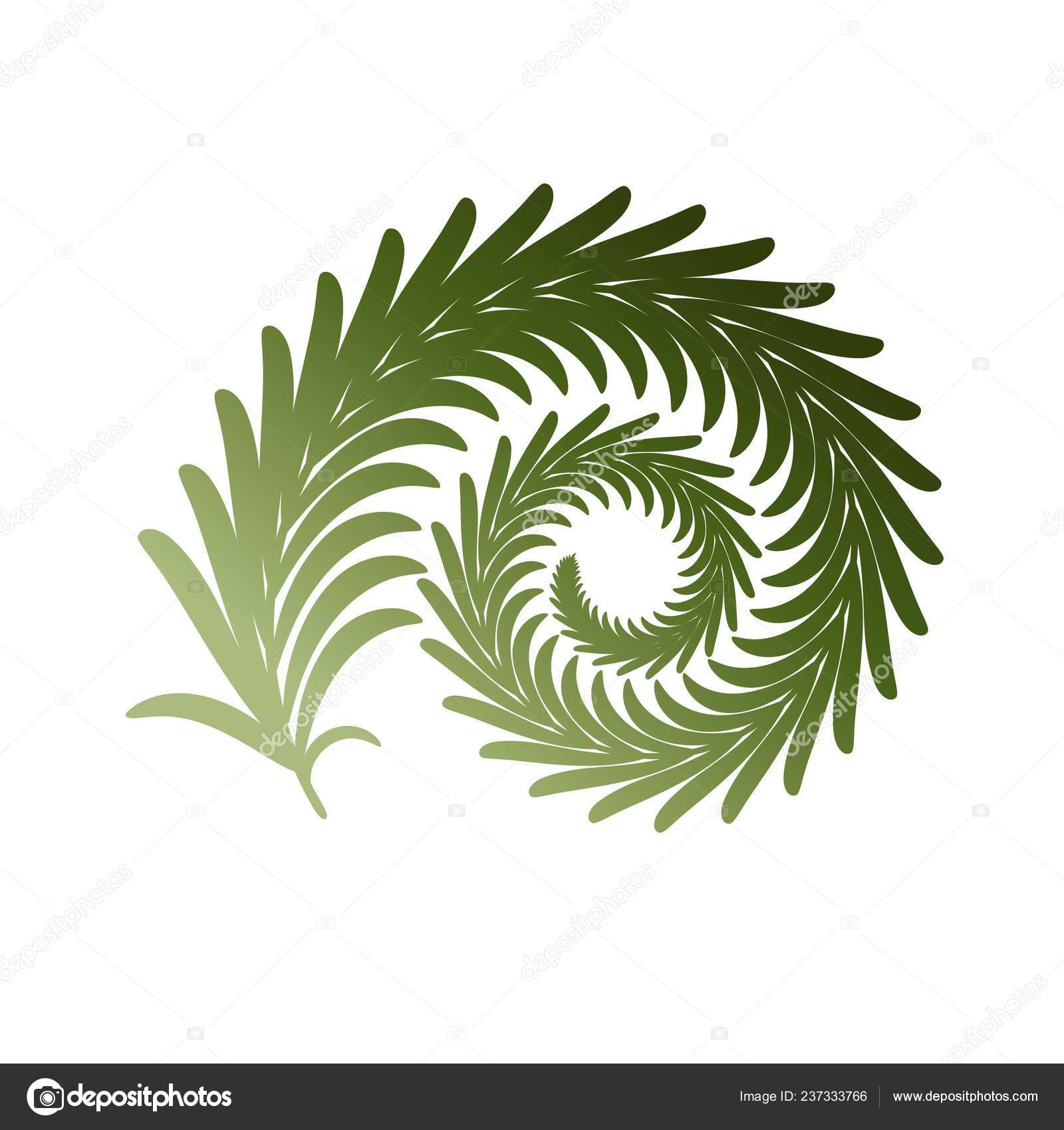 Twig Fern Curl Vector Image Isolated White Eps Stock Vector Image by ...