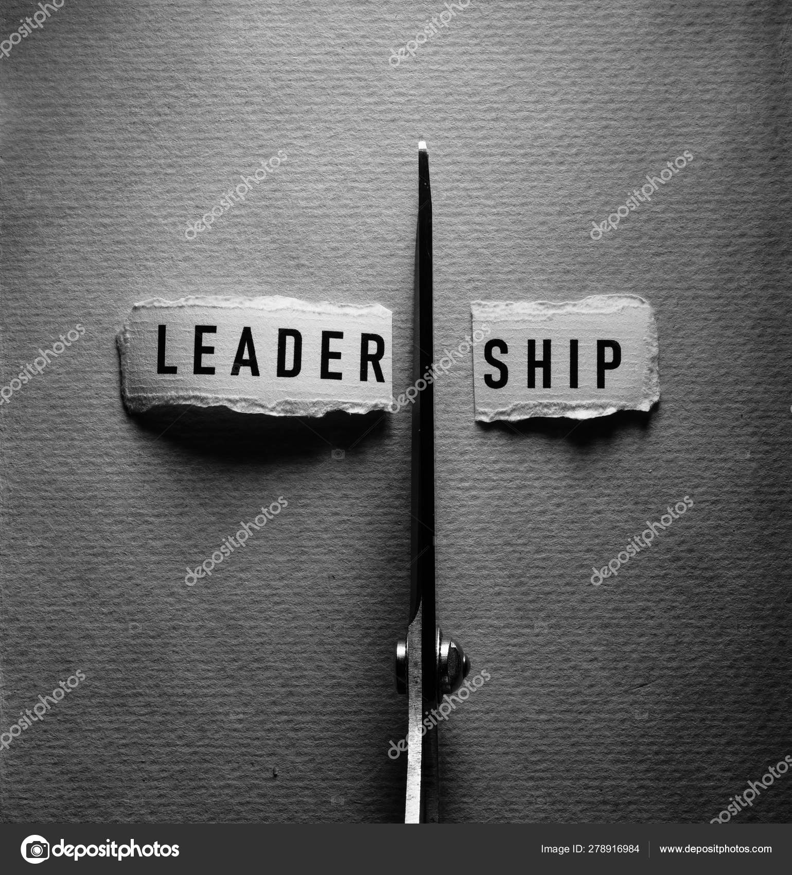 No Leadership Tag — Stock Photo © janaka #278916984