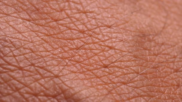Human skin macro picture — Stock Photo © jugulator #25119063
