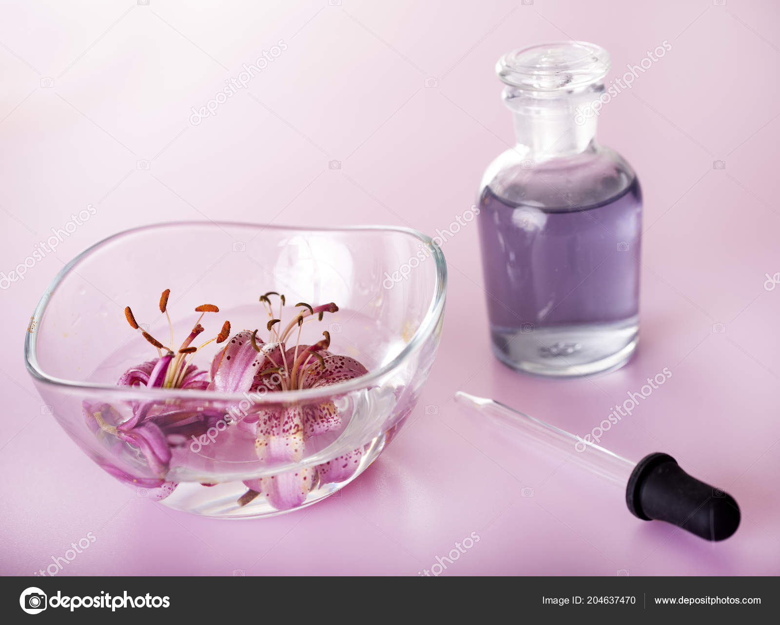 Plant Tincture Front Pink Background Stock Photo by ©cynoclub 204637470