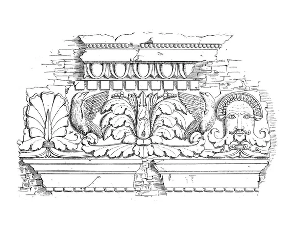 Caste de polymath Stock Photos, Royalty Free Caste de polymath Images ...