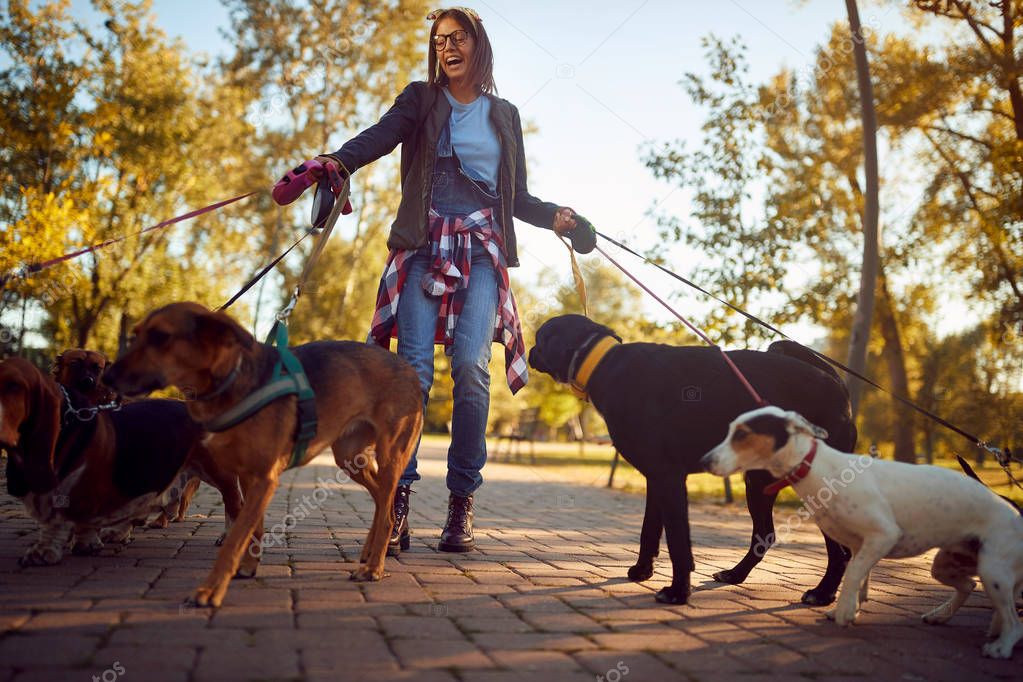 Mujer caminando y jugando con sus perros mientras están fuera en un wal ...