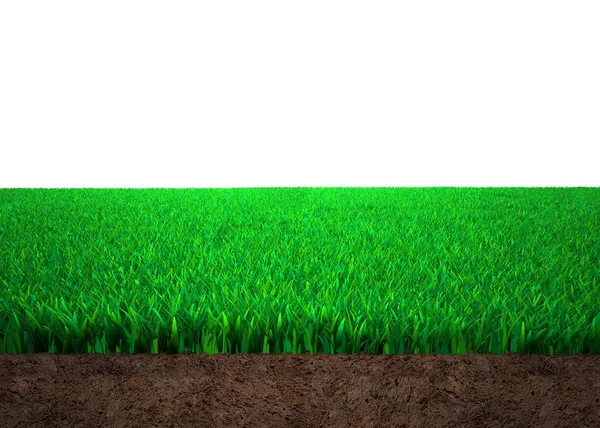 Pasto y suelo fotos de stock, imágenes de Pasto y suelo sin royalties ...