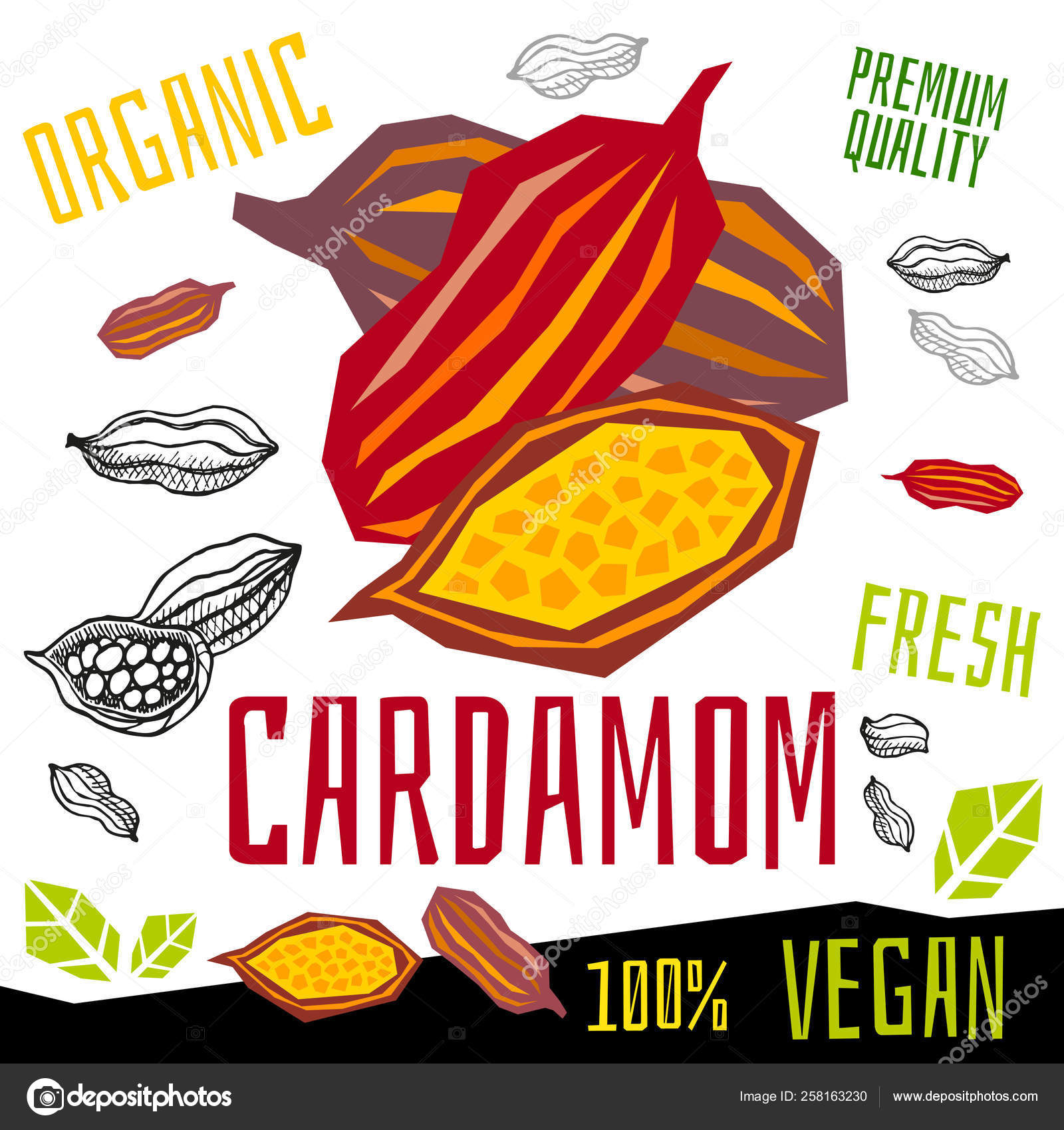 Cardamom icon herb label fresh organic condiment, nuts herbs spice ...