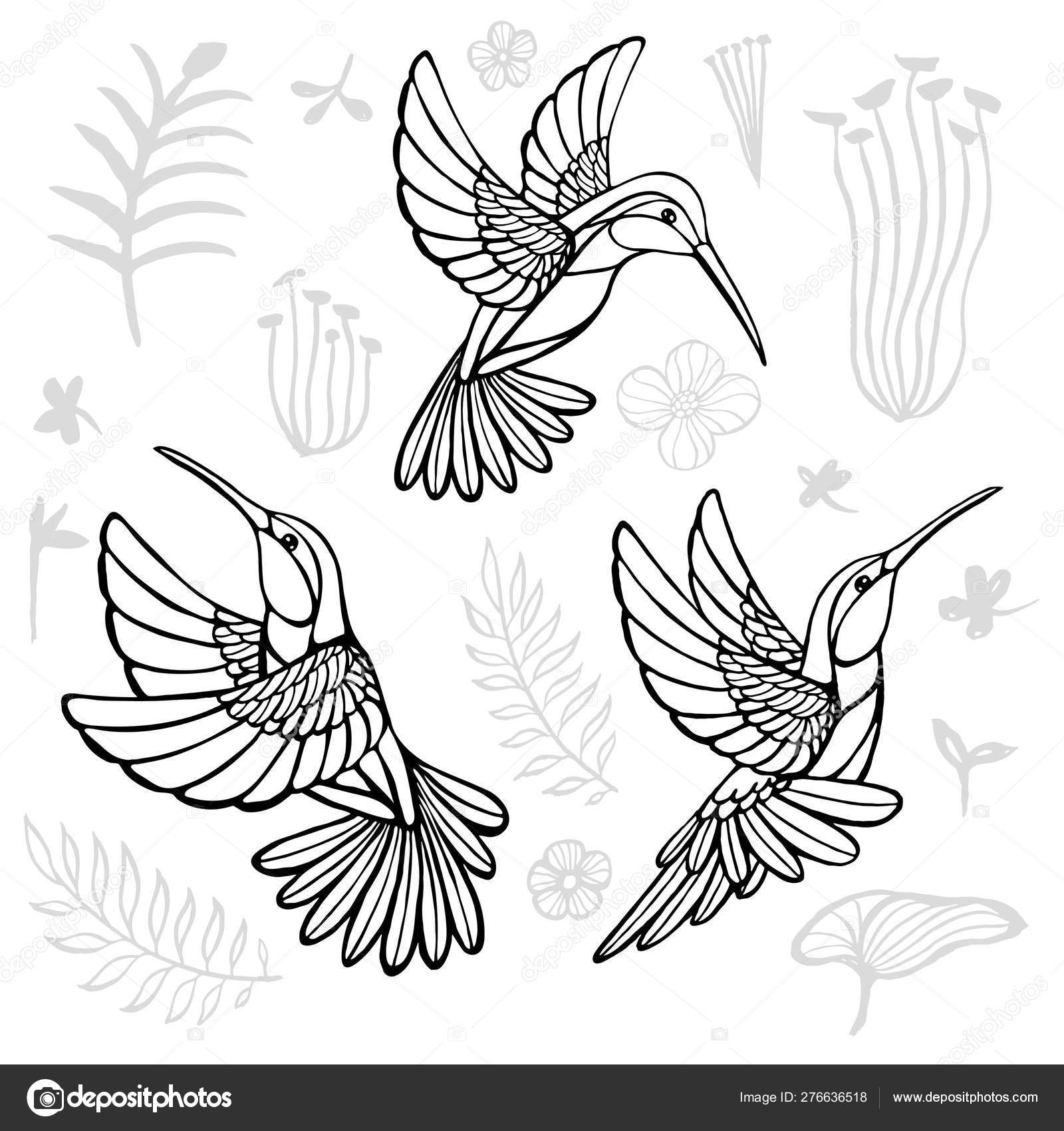 Abstract Line Art Hummingbirds