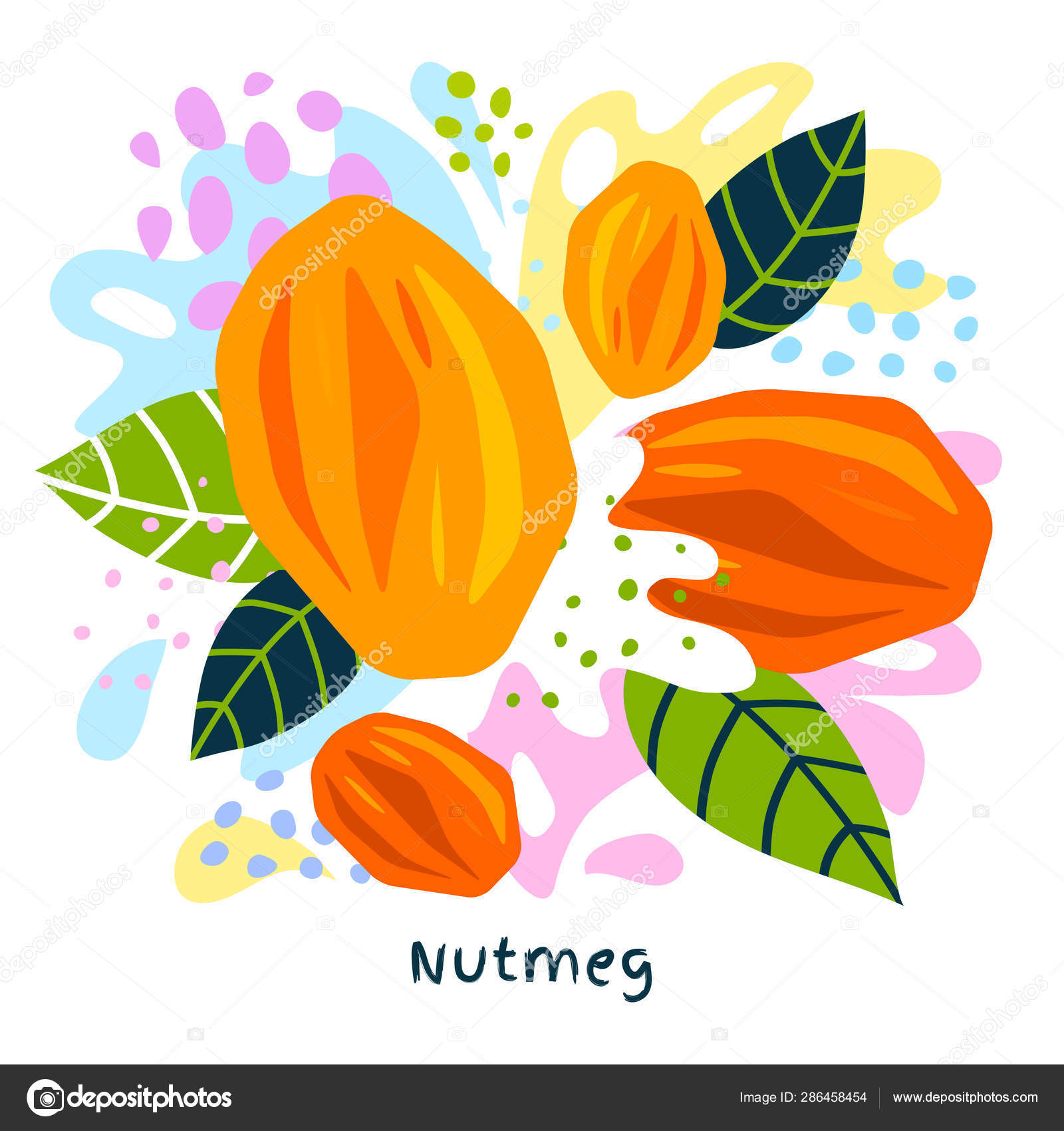 Fresh nutmeg juice splash organic food condiment spice splatter. Spicy ...