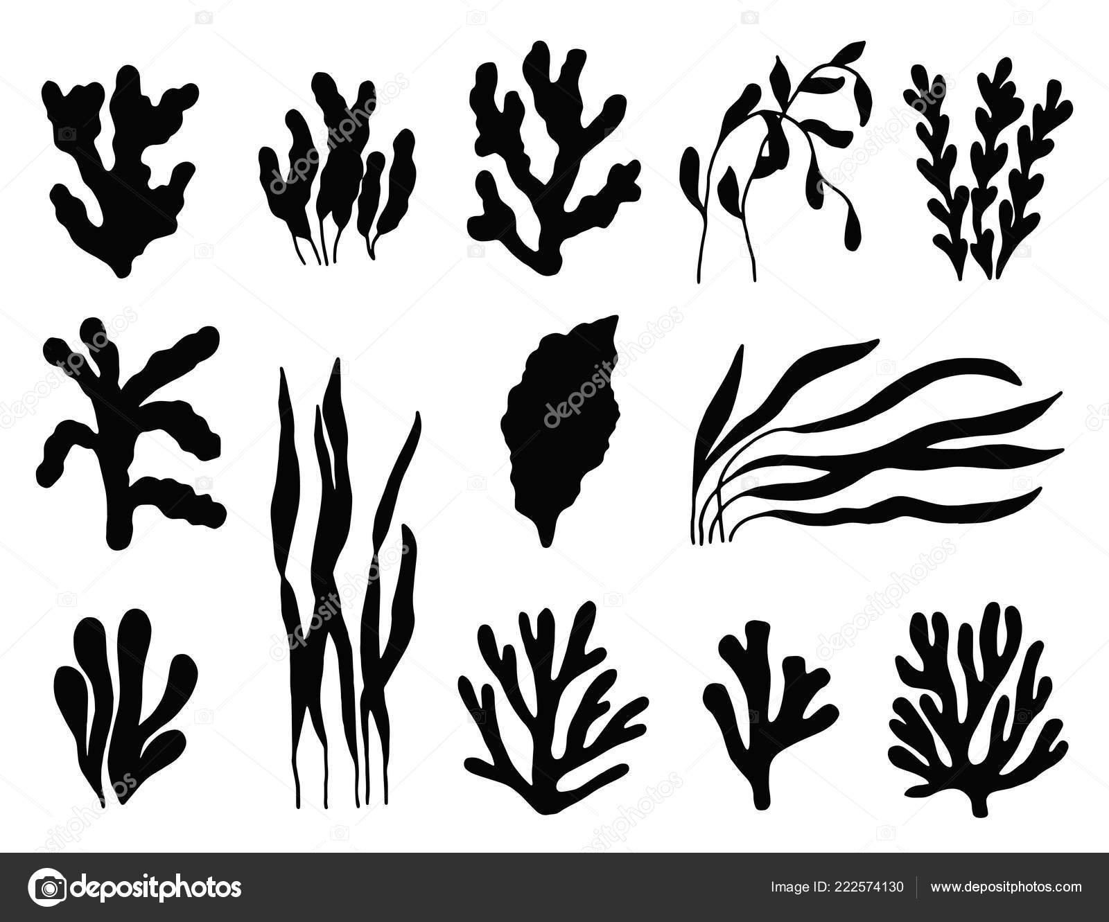 Algae Icon Set Marine Plants Isolated Stock Vector Image by ©Abree ...
