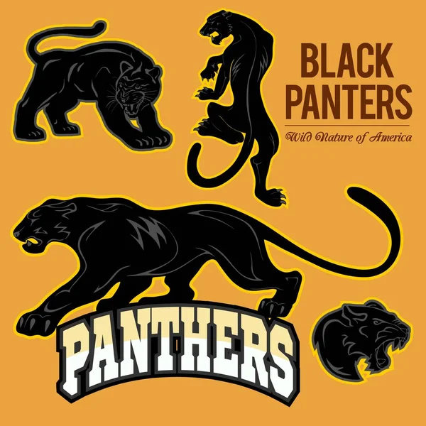 Black Panther Paw Logo