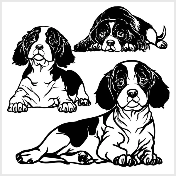 Cavalier king charles spaniel Vector Art Stock Images | Depositphotos