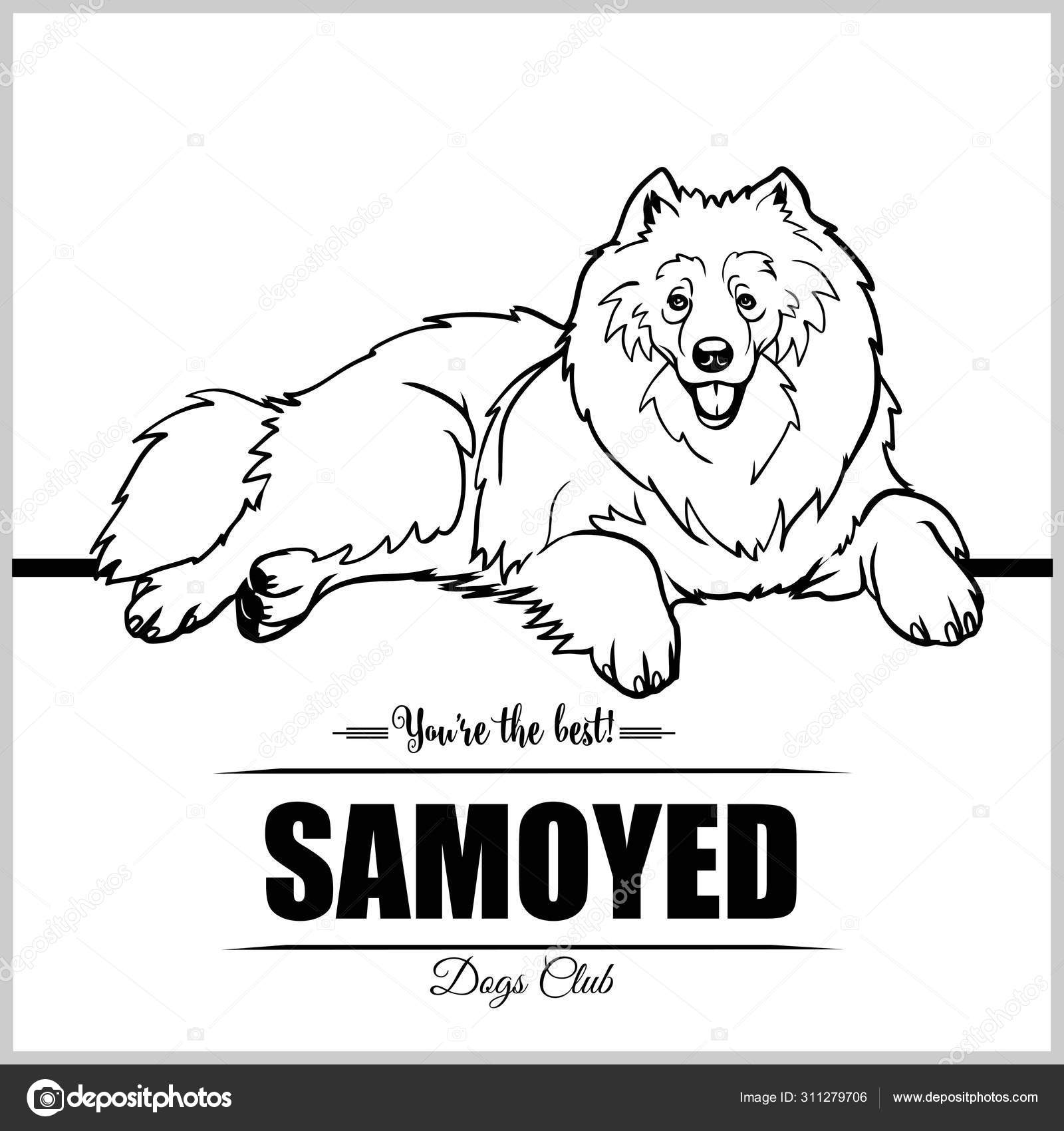Samoyed Dog - vector illustration for t-shirt, logo and template badges ...