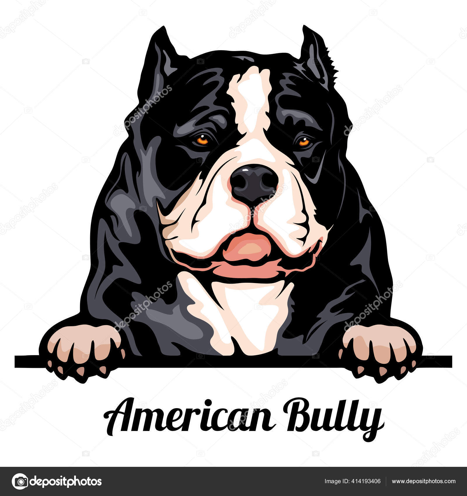 American Bully Head Drawings